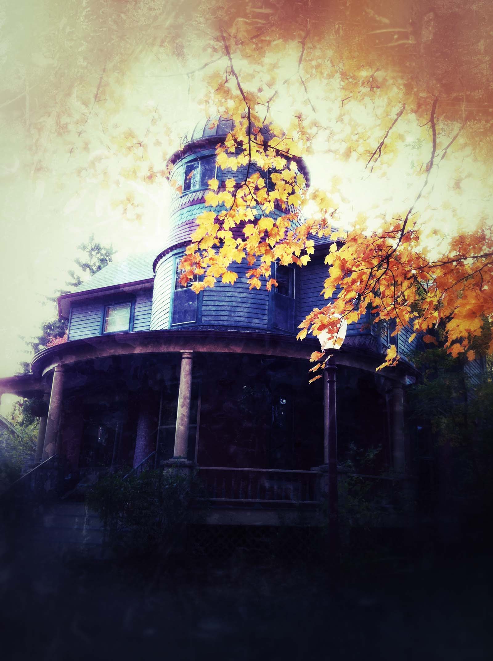 Photo gallery: Kansas in autumn, 2011 | News, Sports, Jobs - Lawrence ...